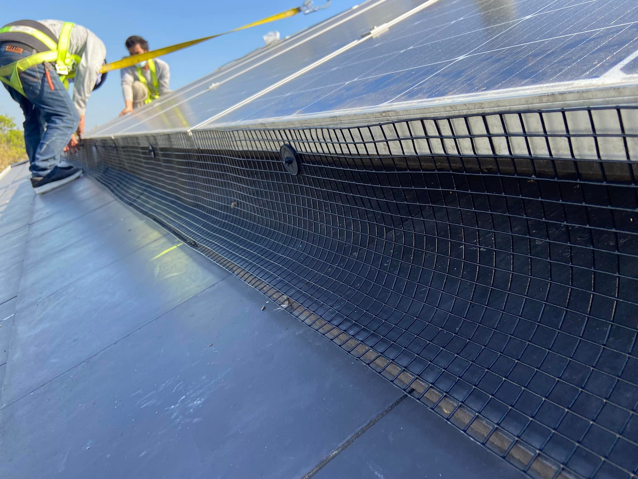 Solar Panel Bird Proofing Mesh